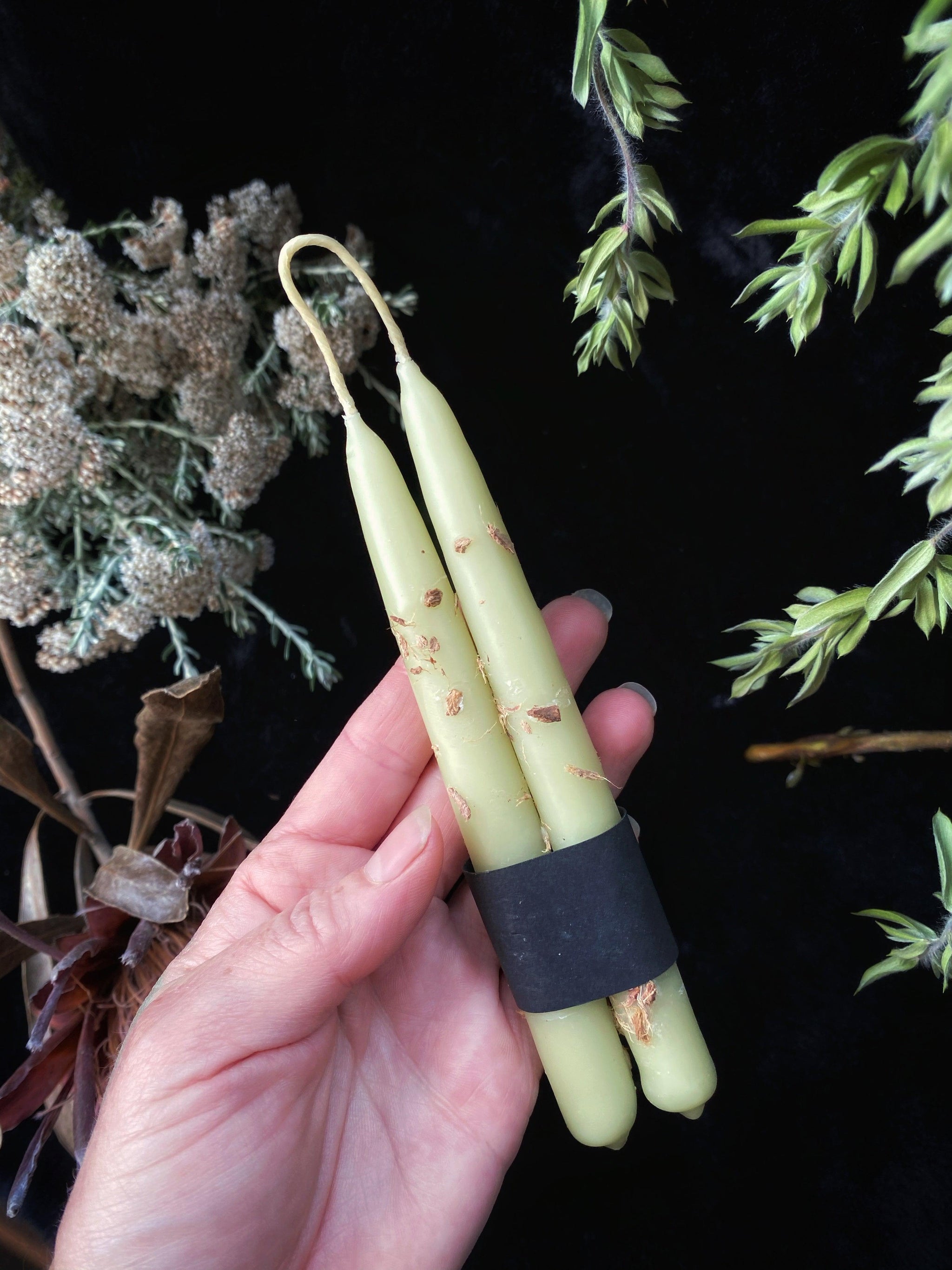 Bayberry Witches Wands - Hand Dipped, Taper Beeswax & Bayberry Wax ...